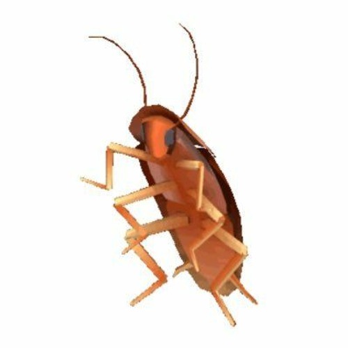 Stream the dancing cockroach song but its jazz by jenwvng | Listen ...