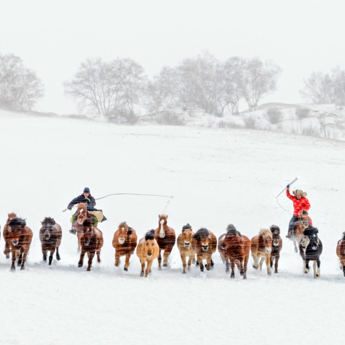 Stream Ariunbaatar - '"Mongoliin Tal Nutag" | The Voice of Mongolia ...