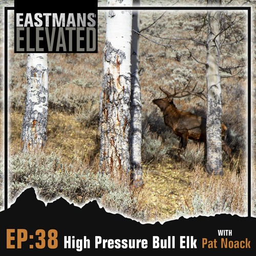 Stream episode Episode 38: High pressure Bull Elk with Pat Noack by ...