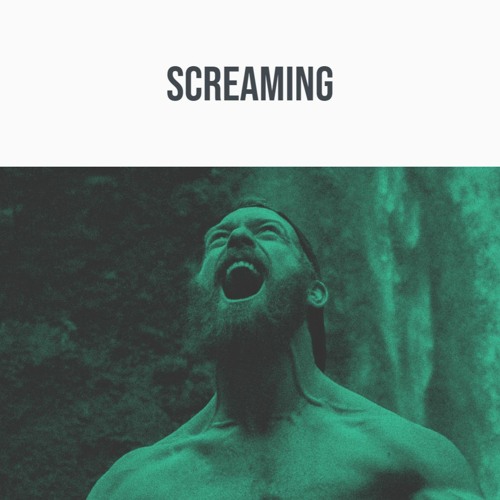 Stream Screaming - Demo Track by 344 Audio | Listen online for free on ...
