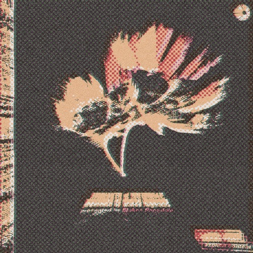 Stream Blake Ragsdale - Remnants of Yesterday by APOLLO'S HARP | Listen ...