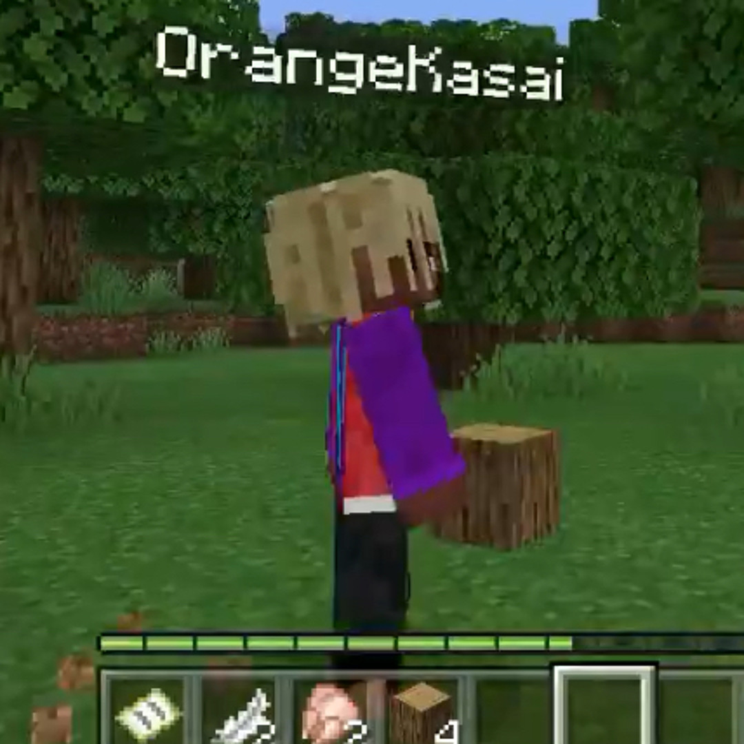 Stream let ha go but its minecraft by hatewakinup (sephirothsarchive ...