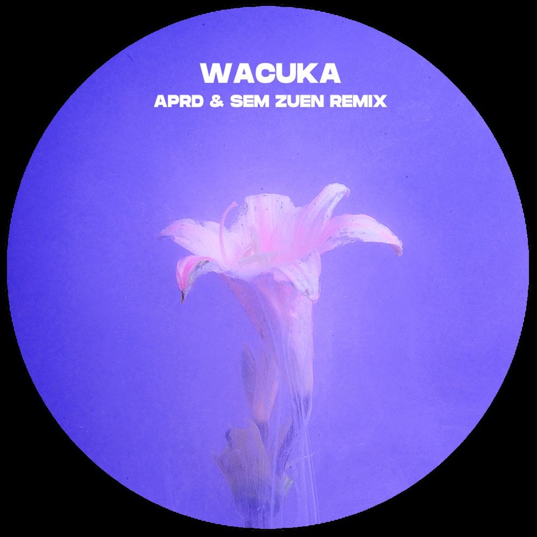 Stream Wacuka (APRD & Sem Zuen Remix) by APRD | Listen online for free ...