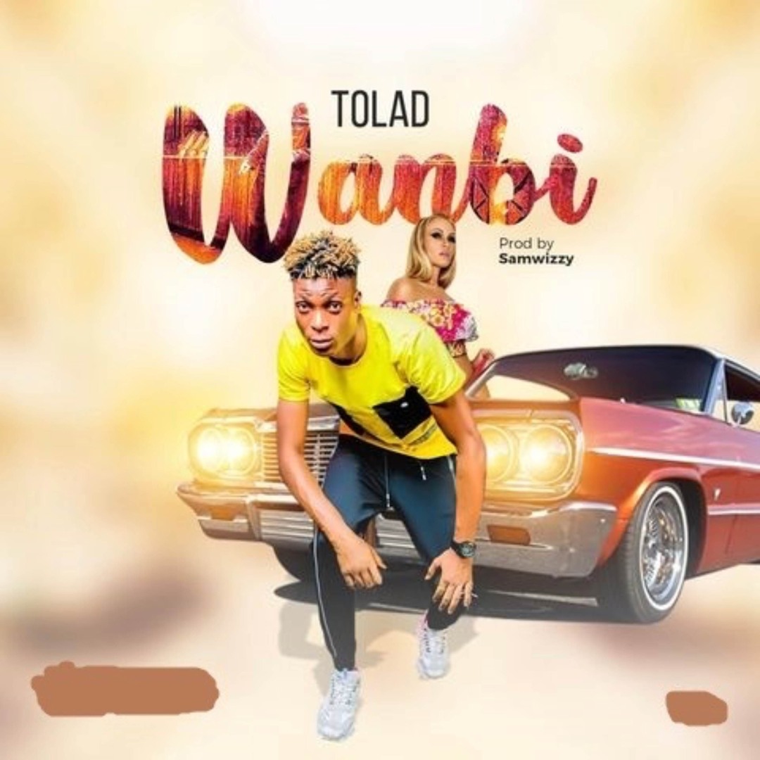 Stream Tolad - Wanbi by Freeme Music | Listen online for free on SoundCloud