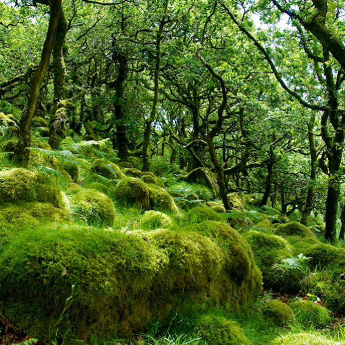 Stream k wock - say so (Prod.Tone) by k wock (@imtopeagle) | Listen ...