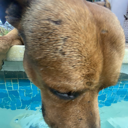 Stream goodbye by Jean Hugo Botha | Listen online for free on SoundCloud