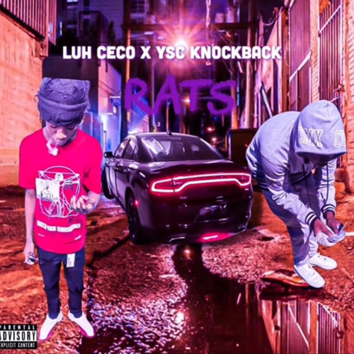 Stream rats-Luh ceco x Ysc knockback by livin heII | Listen online for free on SoundCloud