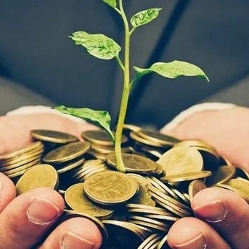 Stream THE BASICS OF INVESTING AND HOW TO GROW YOUR WEALTH by The Bonk ... Stream THE BASICS OF INVESTING AND HOW TO GROW YOUR WEALTH by The Bonk ...