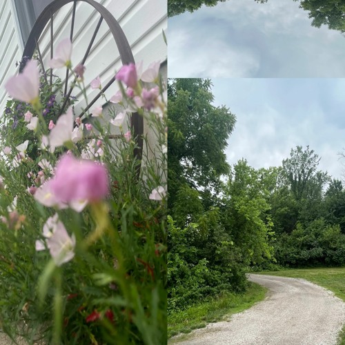 Stream The First Page w/ 1nonly_terror (jayysoul) by care. | Listen ...