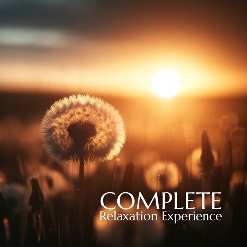 Stream Relaxing Nature Sounds Collection | Listen to Complete ...