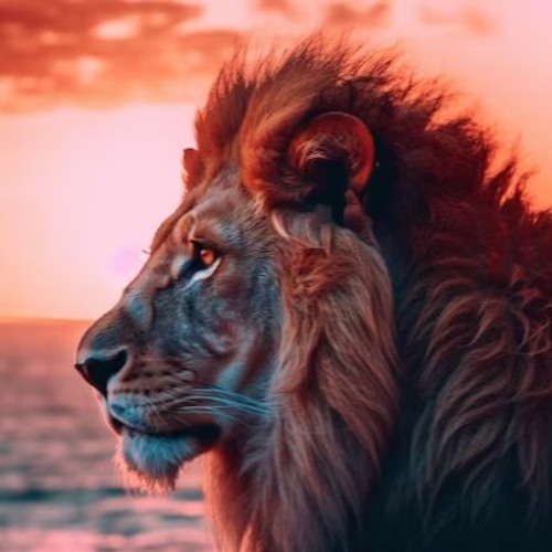 Stream MrSkuu | Listen to Chill Af playlist online for free on SoundCloud