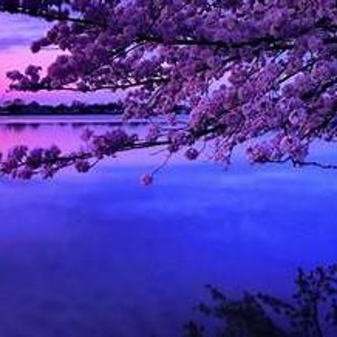 Stream Brandon Bourne | Listen to nettspend 2025 playlist online for ...