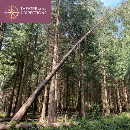 Stream episode Almost-Dead-Tree & Ancestral Connection by Theatre of ...