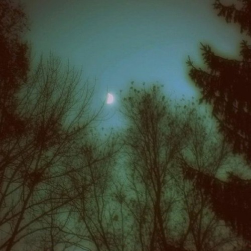 Stream Sadie Bruce | Listen to Fortnite playlist online for free on ...