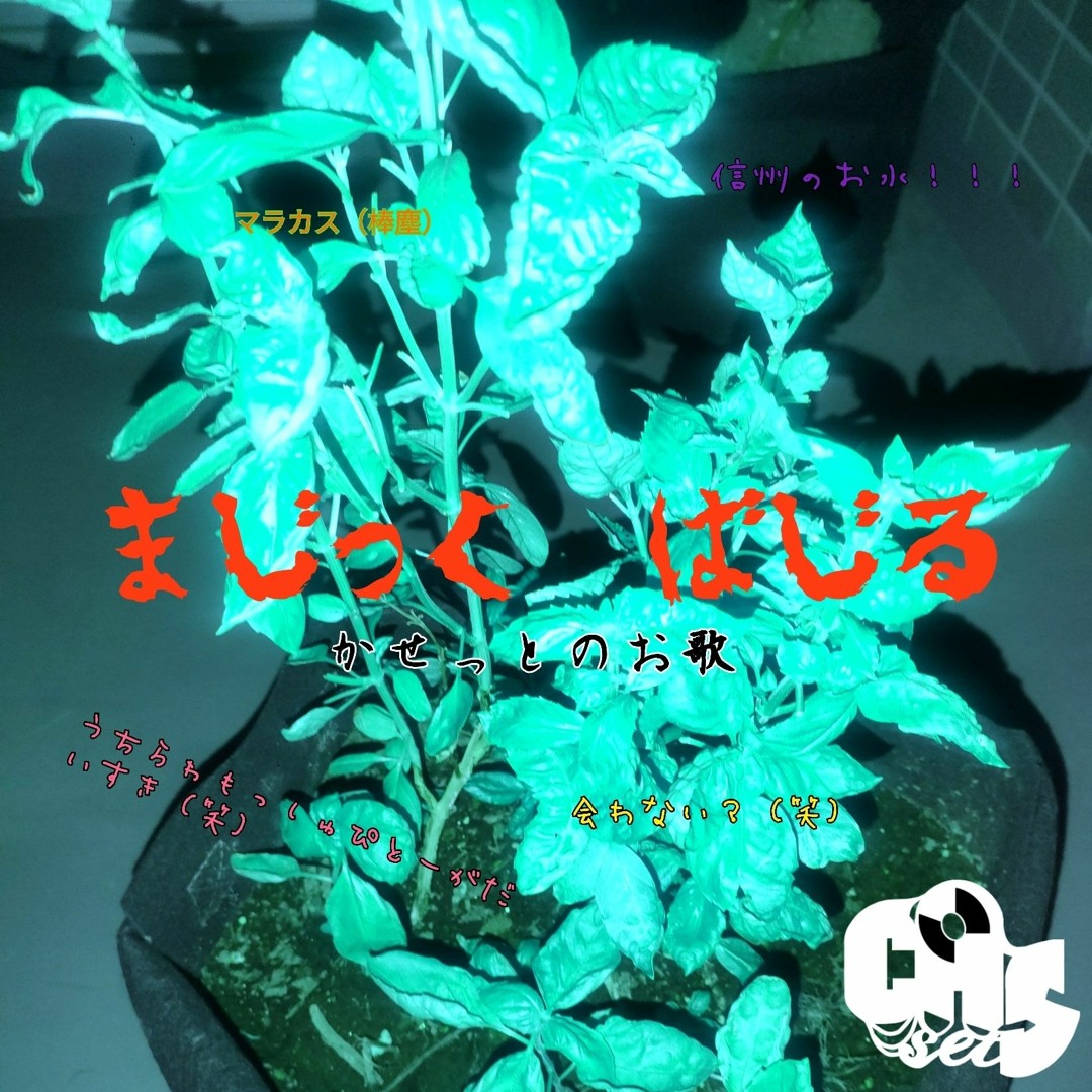 Stream Magic Basil by CASset（该勳资產） | Listen online for free on SoundCloud