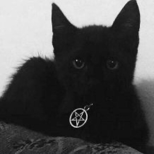 Stream vamphxurs | Listen to VAMPHXURS X YNG RUFUS playlist online for ...