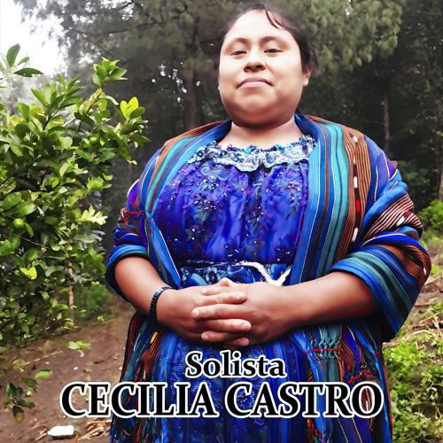 Stream Cecilia Castro | Listen to Allá en el Calvario Vol. 3 playlist ...
