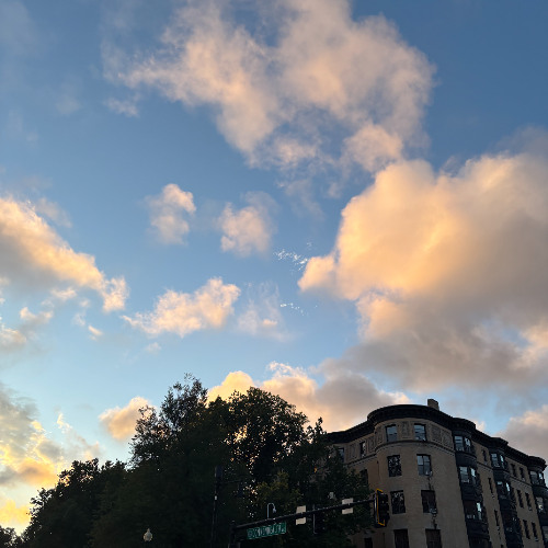 Stream Ruining Me by emma dvorak | Listen online for free on SoundCloud