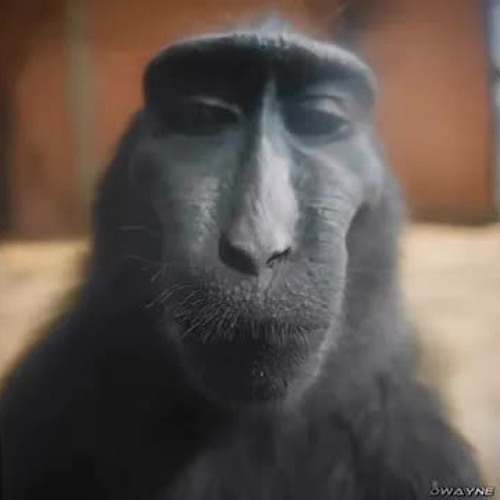 Stream Lost Soul (Slowed But Better + Monkey Rizz) by furkie7 | Listen ...