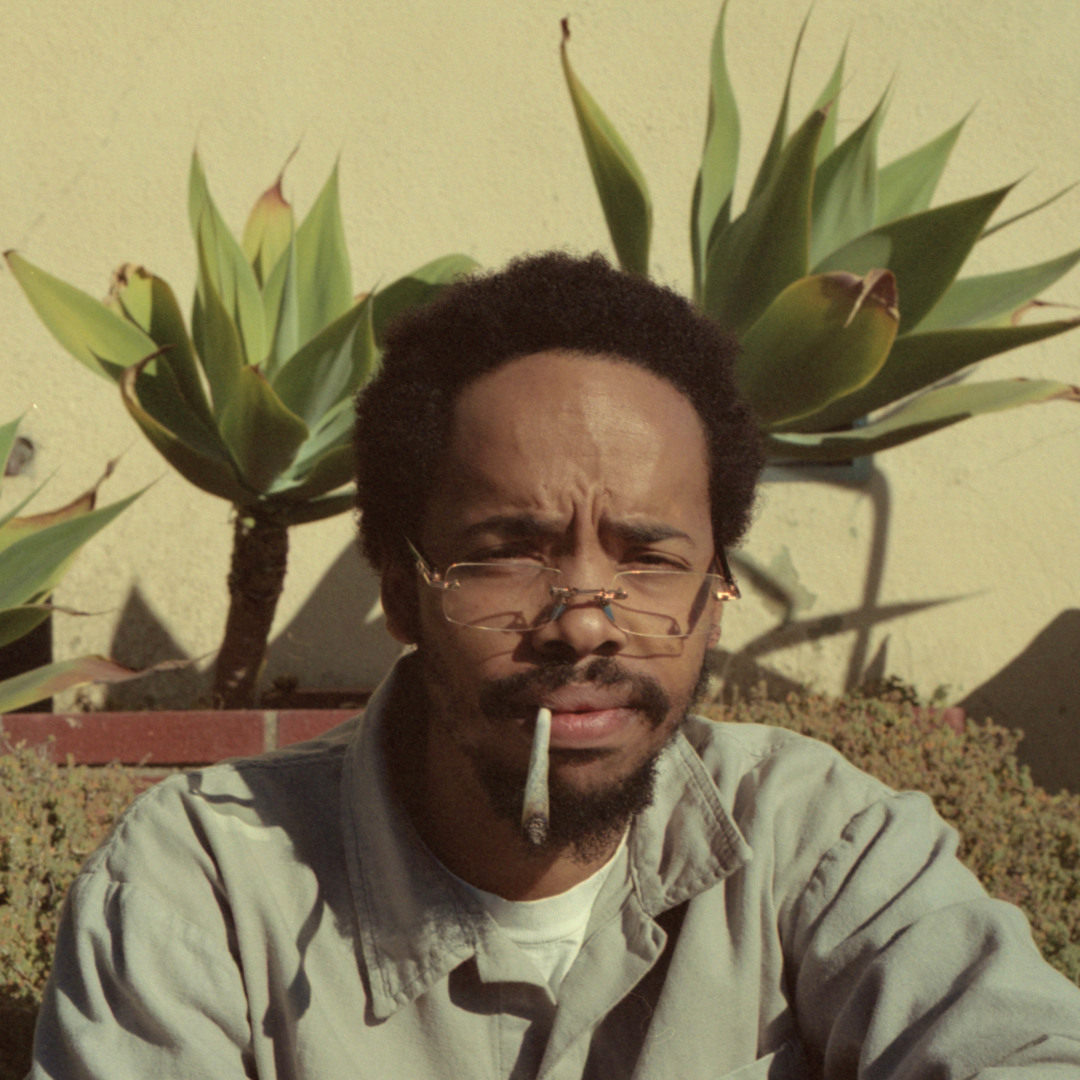 Stream Earl Sweatshirt | Listen to Live Laugh Love playlist online for ...