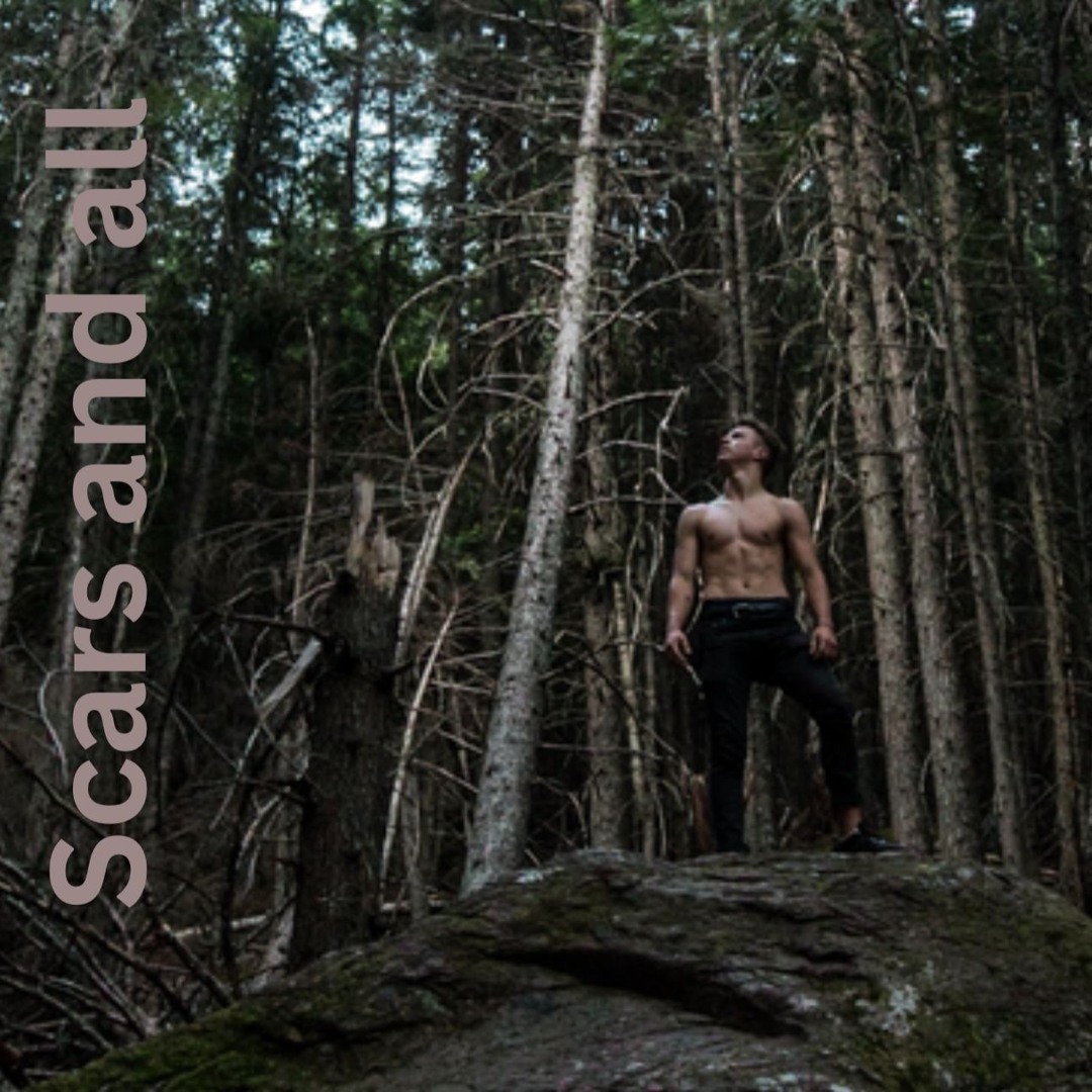 Stream Sam Hatzfeld | Listen to Scars and All playlist online for free ...