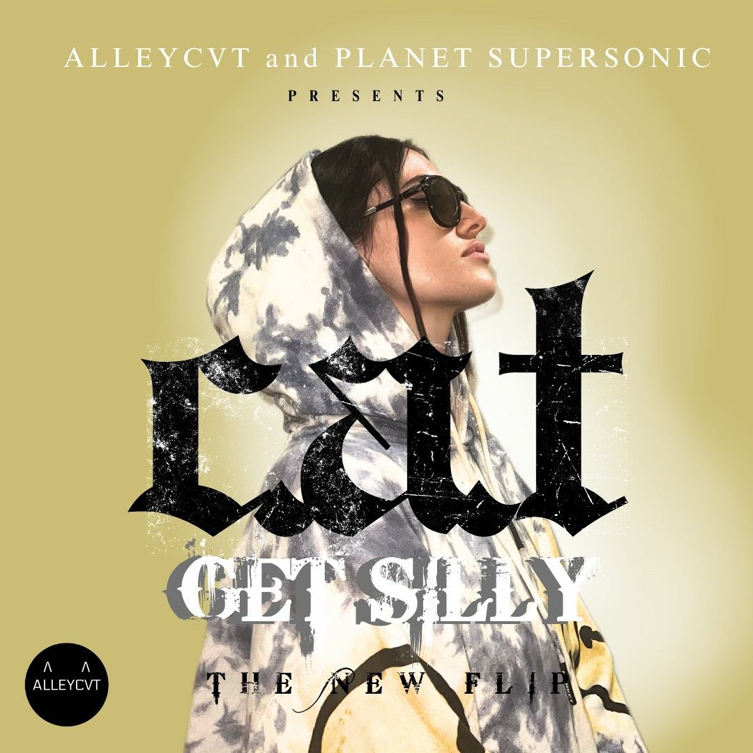 Stream GET SILLY (ALLEYCVT FLIP) by ALLEYCVT | Listen online for free ...
