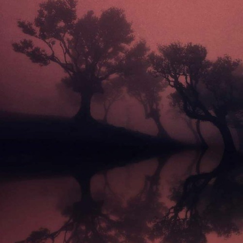 Stream NOXJINXY - Soul (Prod. xenshel) by NOXJINXY | Listen online for ... Stream NOXJINXY - Soul (Prod. xenshel) by NOXJINXY | Listen online for ...