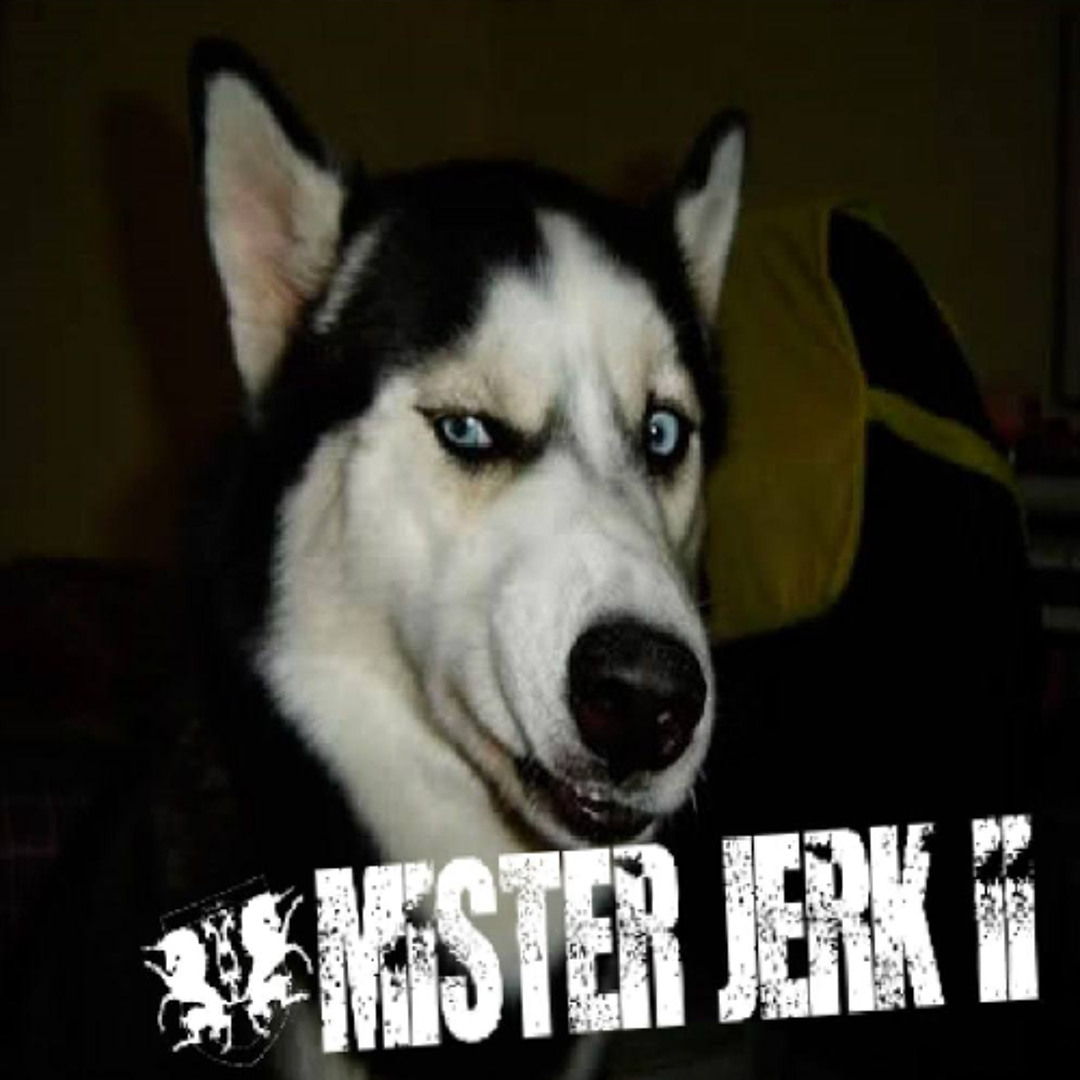 Listen to SUCHKA BUD' SO MNOI (prodbyanh) by MISTER JERK in MISTER JERK ...