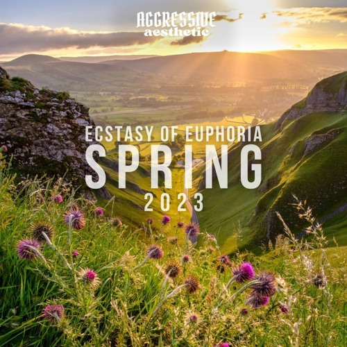 Stream Ecstasy of Euphoria - Spring 2023 by Aggressive Aesthetic ...