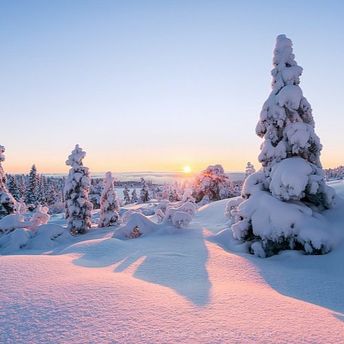 Jay Flynn & Rewire Tracks / Remixes Overview