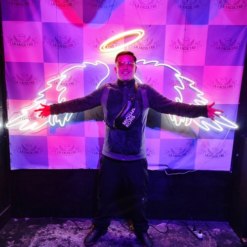 Stream Una Noche Con Maikol Steve PVT BALA by DJ MAIKOL STEVE | Listen ...