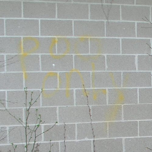 Stream My little pooper by Grain Fed Cattle | Listen online for free on ...