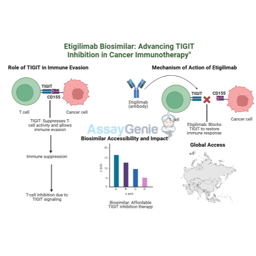 Stream episode Etigilimab Unveiling the Role of Anti-TIGIT in Cancer ...