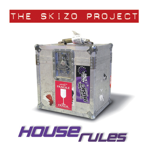 Stream Beautiful Sounds by The Skizo Project | Listen online for free ...