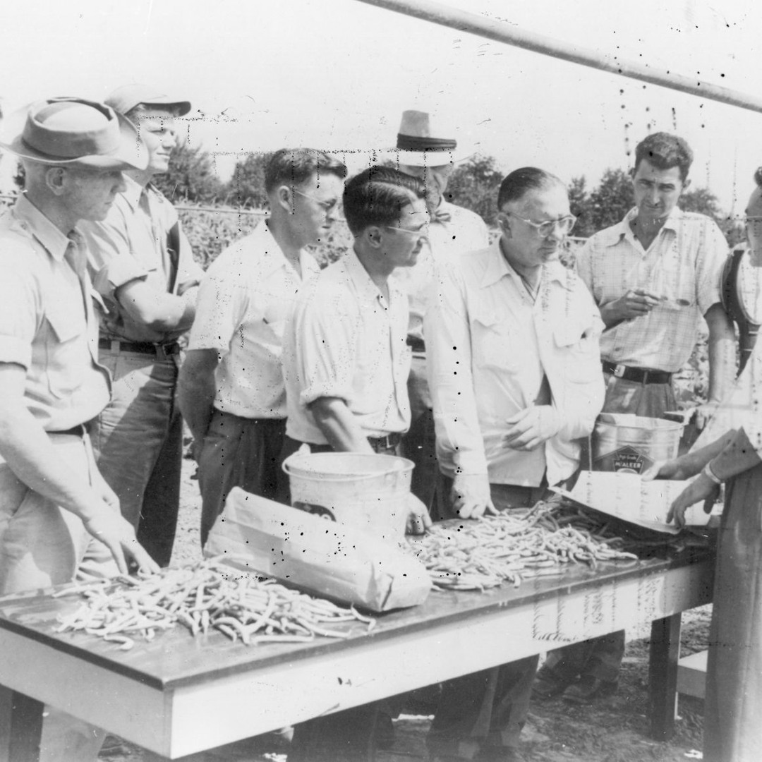 Stream episode From Field To Factory: Chasing Freedom in New Jersey by ...