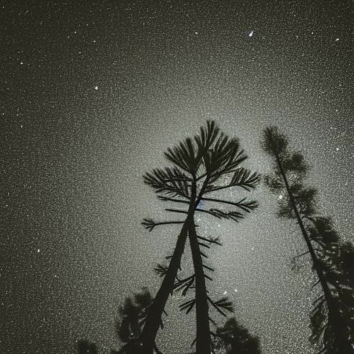Stream pine tree on pluto by Renu | Listen online for free on SoundCloud