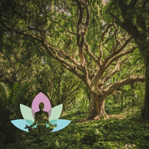 Stream Grounding Meditation (15 min) by Shaping Reality | Listen online ...