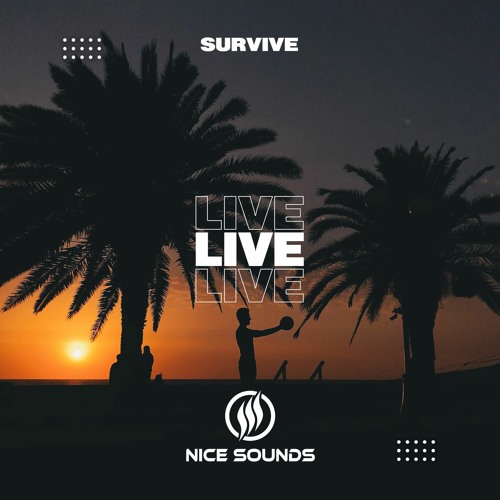 Stream Survive - Live by Nice Sounds | Listen online for free on SoundCloud