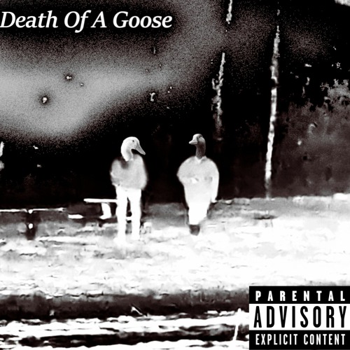 Stream Mongoose | Listen to DEATH OF A GOOSE playlist online for free ...