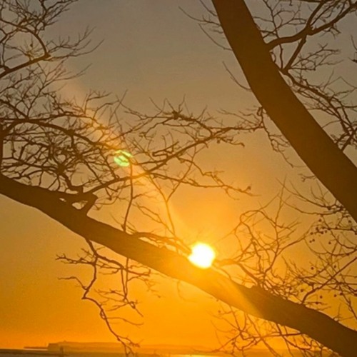 Stream When We Left the Garden of Eden by The Nick Clemons Band ...