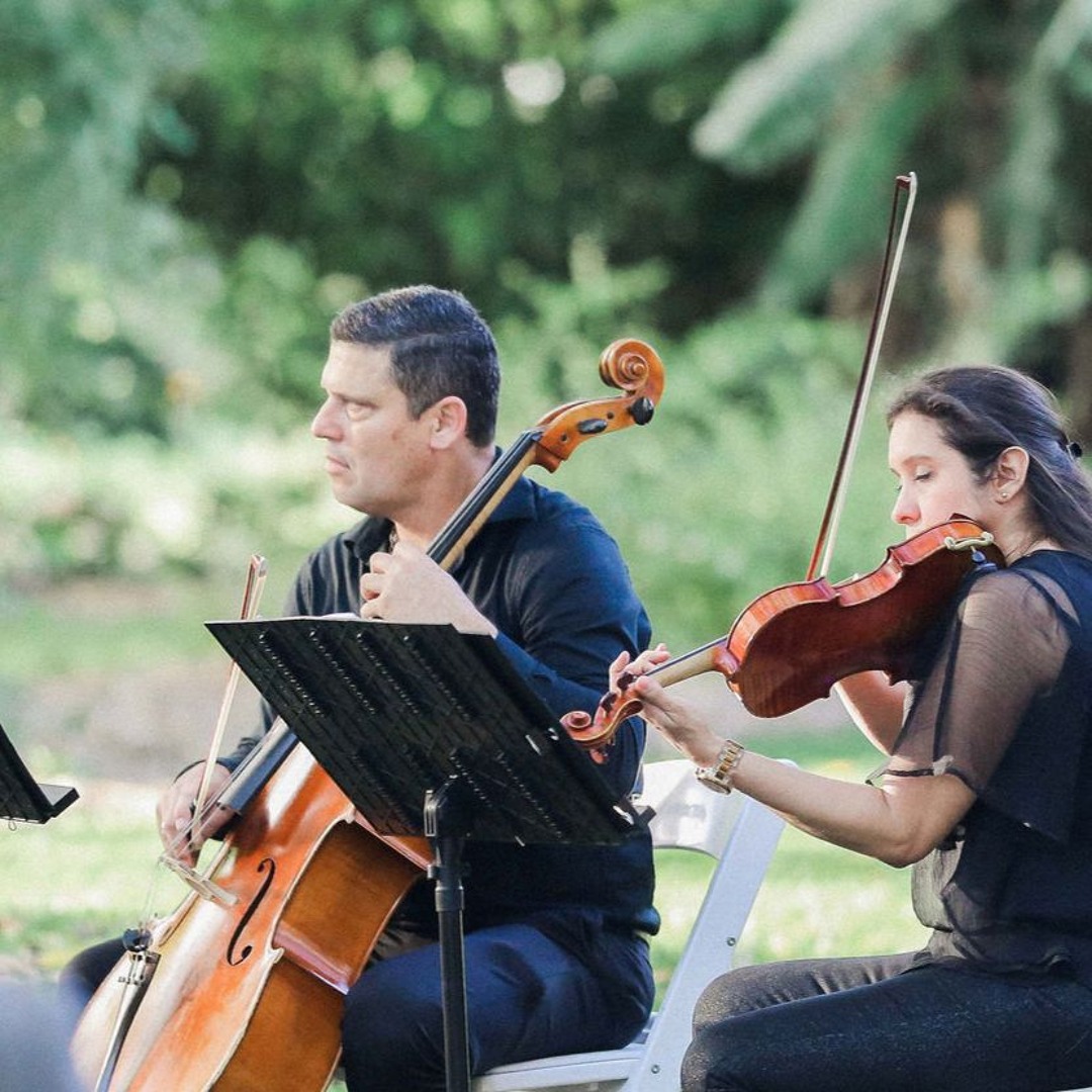 Stream Master Musicians Inc. | Listen to Classical Violin & Cello Duo ...