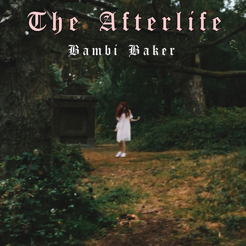 Stream The afterlife/daughter slaughterer II (demo) by Bambi Baker | Listen online for free on ...