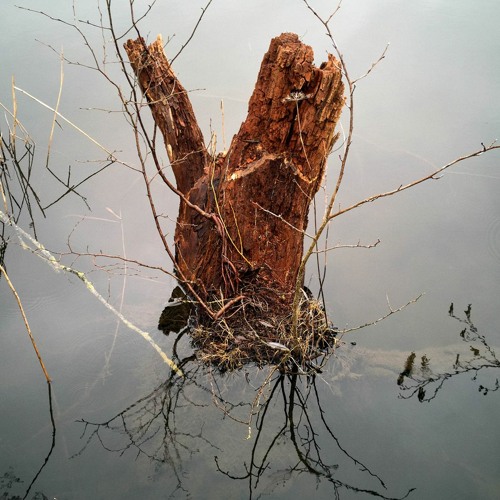 Stream ANGST (Tralalas meets Emil Aarestrup) by SIDSTE UDVEJ (LAST EXIT ...