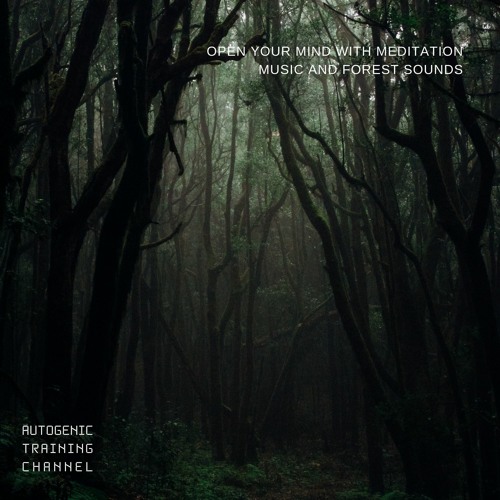 Stream Guided Imagery for Mindfulness Breathing Exercises (with Forest ...