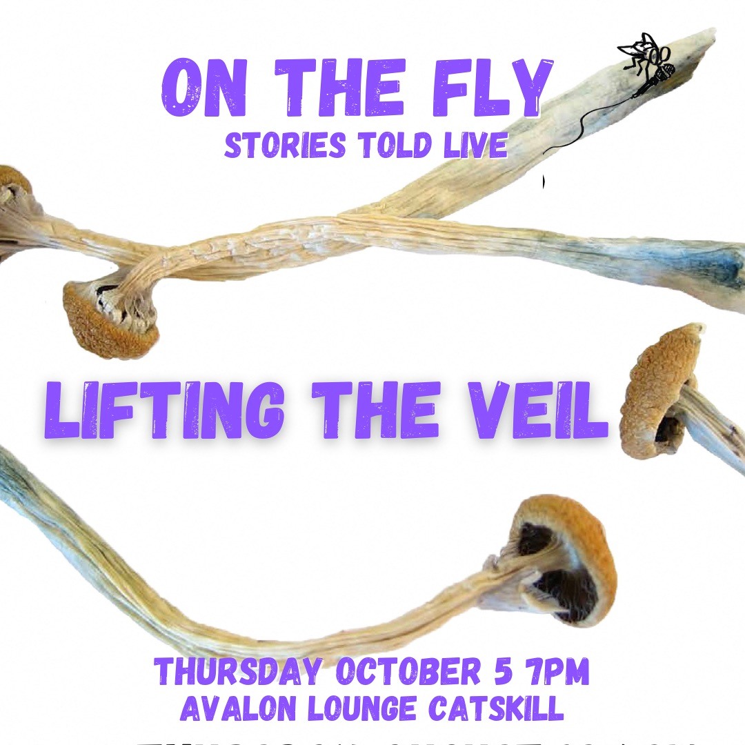 Stream Veil Dandy by On The Fly Story Slam | Listen online for free on ...