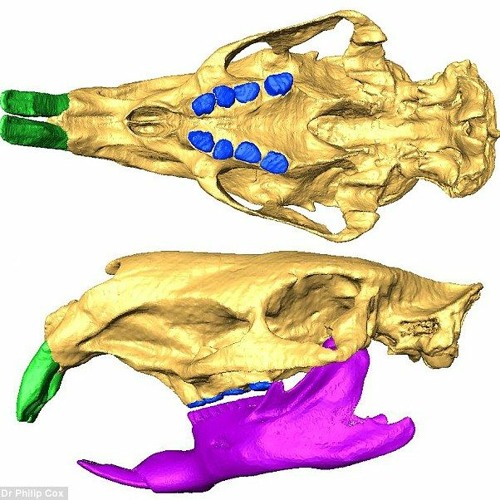 Stream Mild Sorcery Effects | Listen to msfx demos 2020-2021 playlist ...