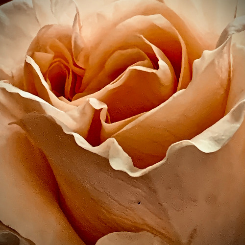 Listen to music albums featuring Valentine's Day, 2025, Stopping by the ...