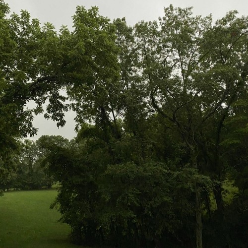 Stream Green Leaves & Growing Things by Paul Linkous | Listen online ...
