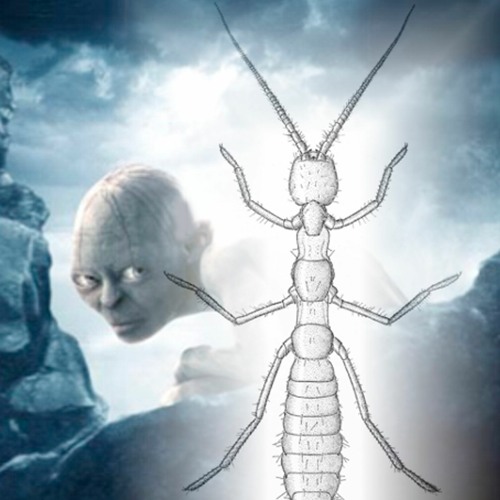 Cccccccccccccccccccc