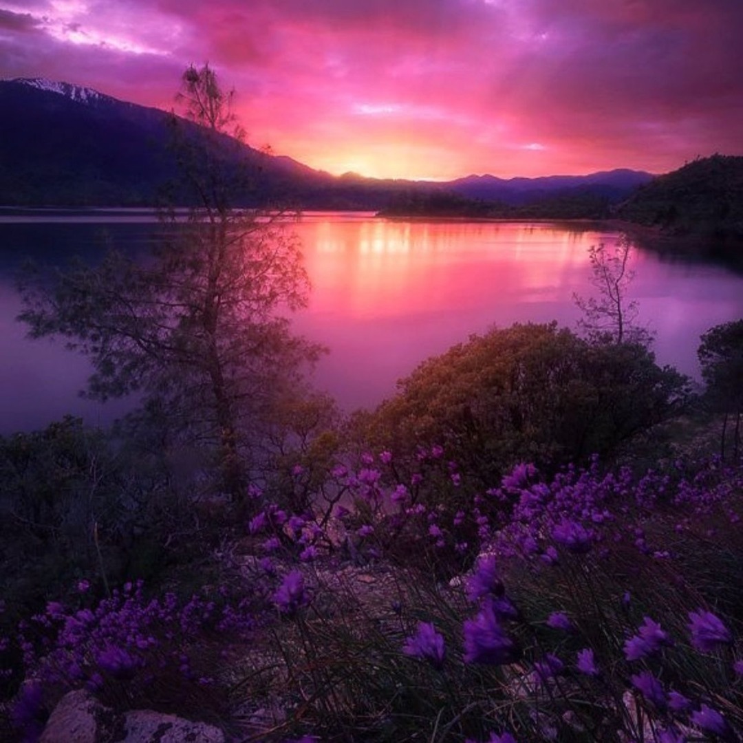 Stream 2024 Station Overview by Mark Kenney | Listen online for free on SoundCloud